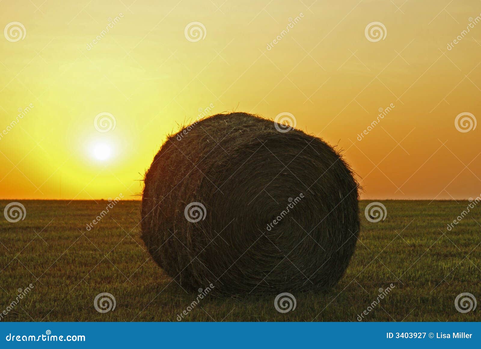 Single bale of hay stock image. Image of midwest, field - 3403927