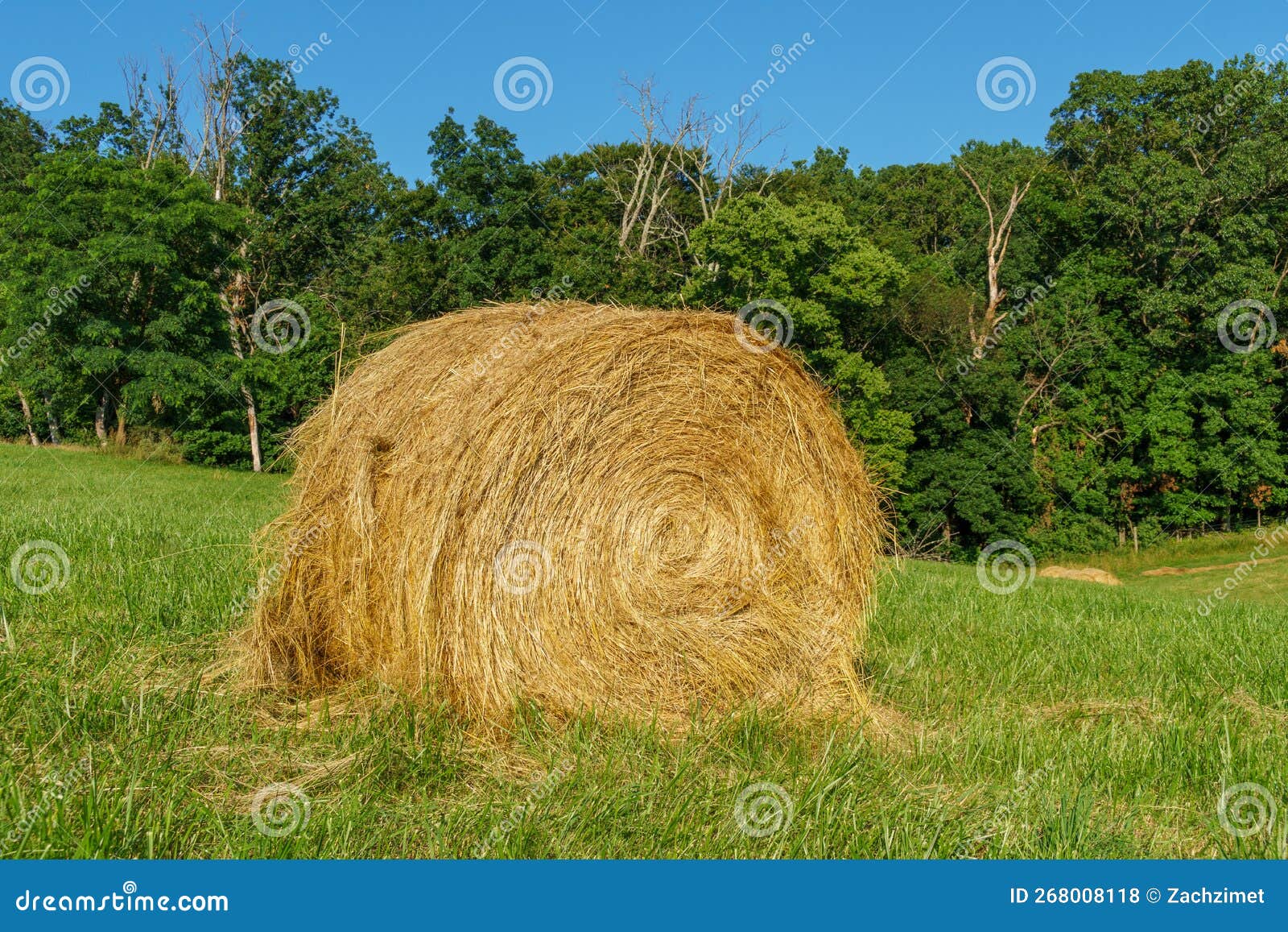 Single Bale of Hay on the Grass in Front of the Treeline Stock Photo ...