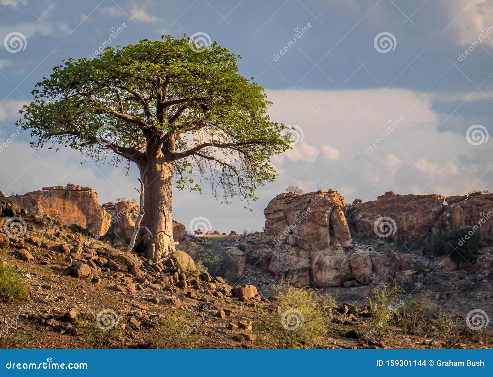 African Landscape Stock Photos - Download 121,786 Royalty Free Photos