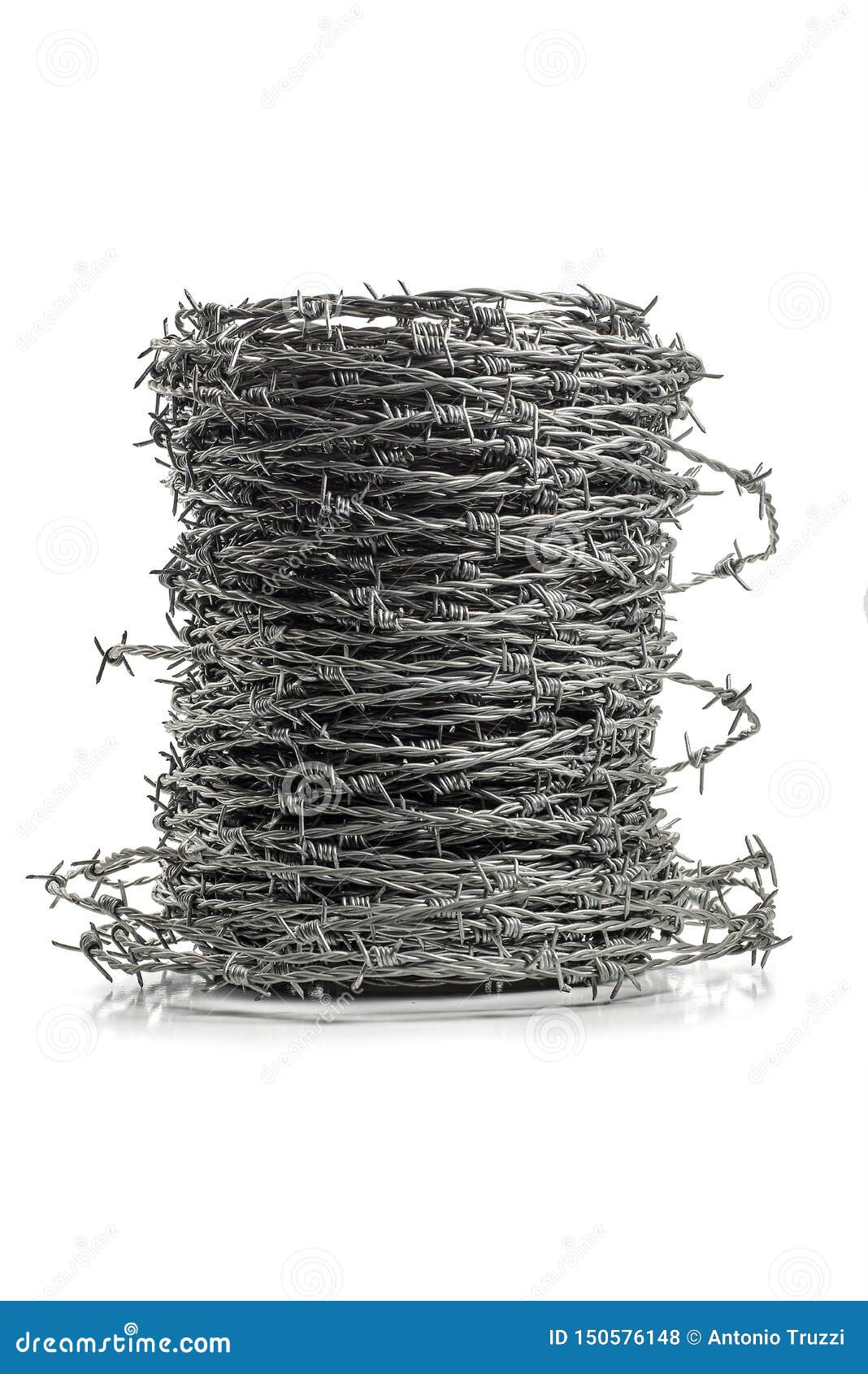 Single Barbed Wire Coil on White Background Stock Photo - Image of ...