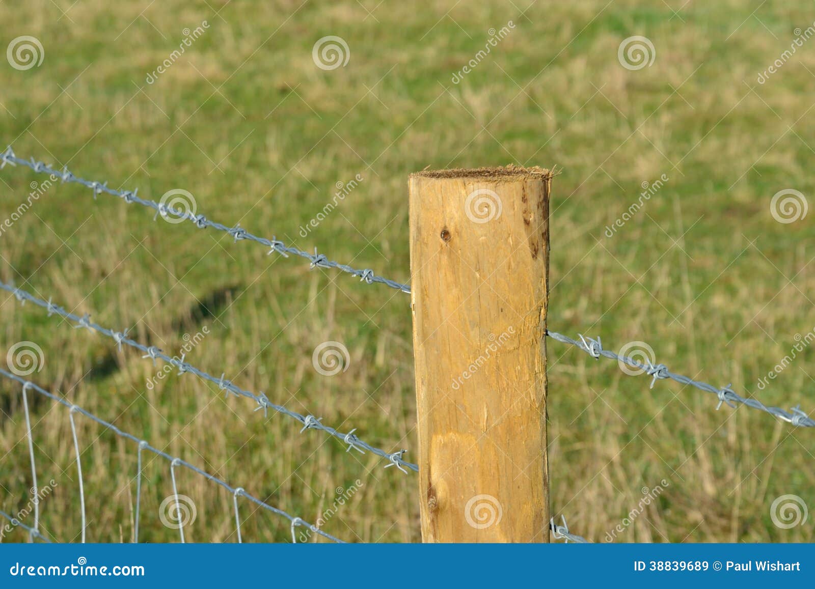 Single Barbed Wire Fence Post Stock Image - Image of fence, fencing ...