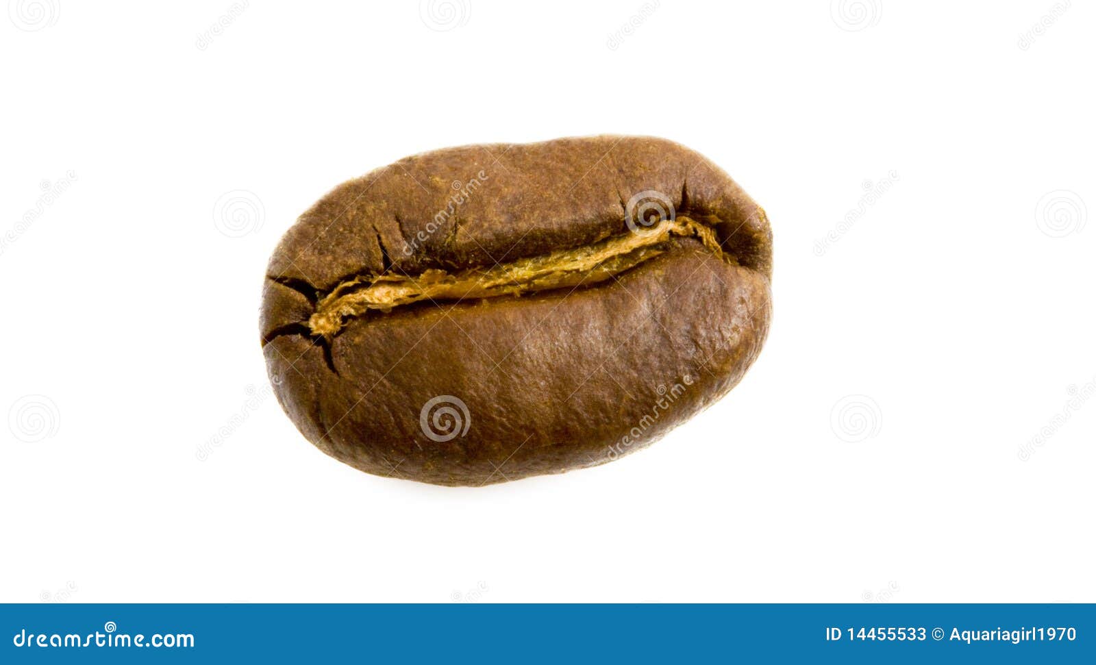 Single bean stock image. Image of arabica, espresso, preparation - 14455533