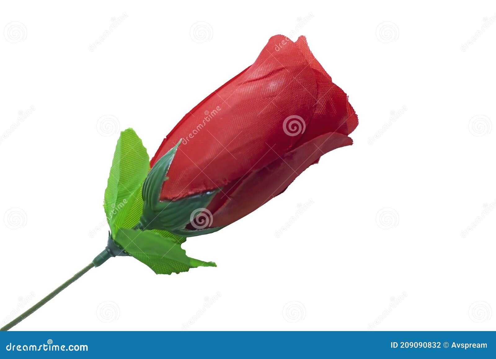 Single Beautiful Red Rose Isolated on White Background. Plastic Red ...