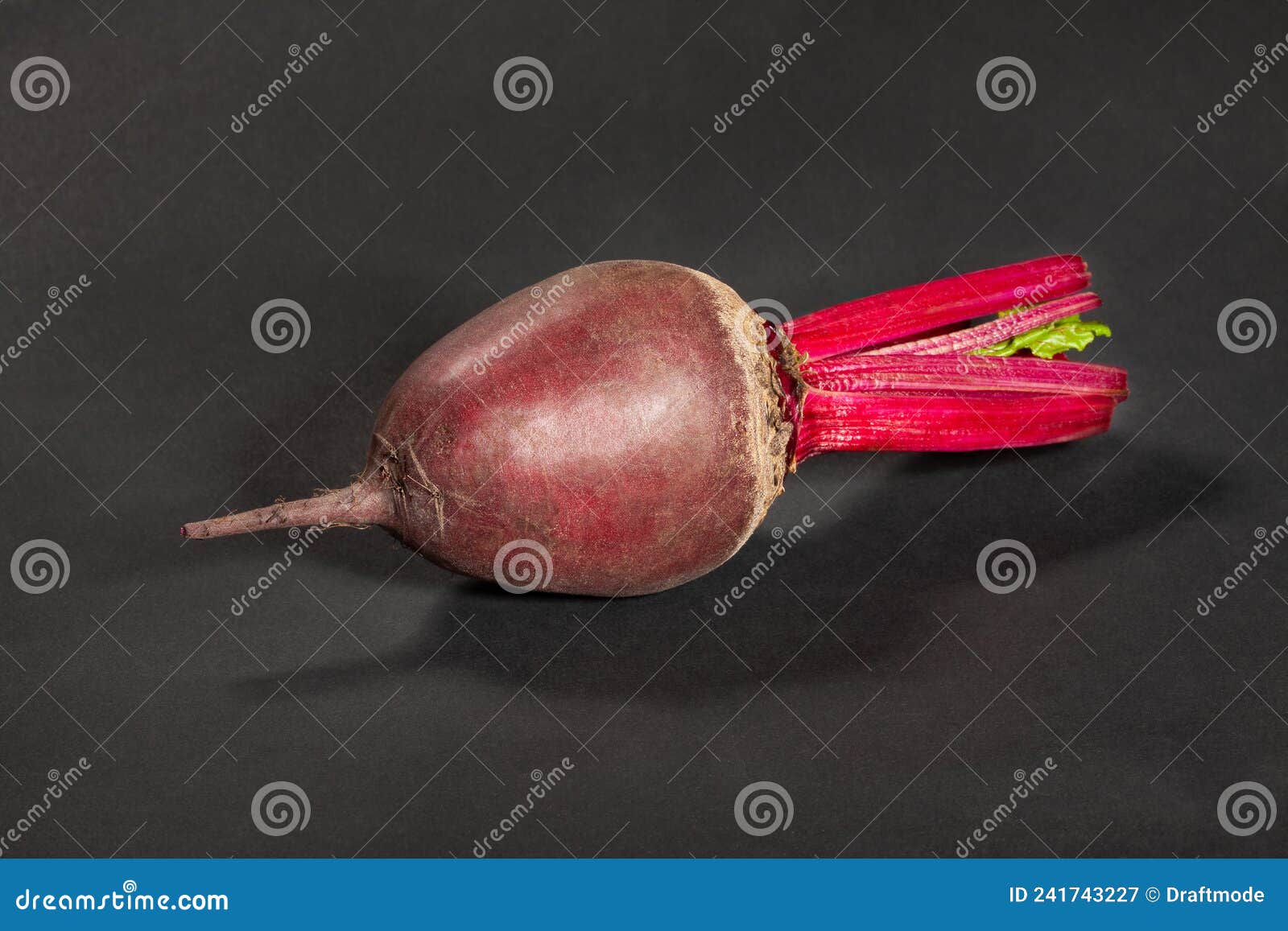 Single beetroot on black stock image. Image of beets - 241743227