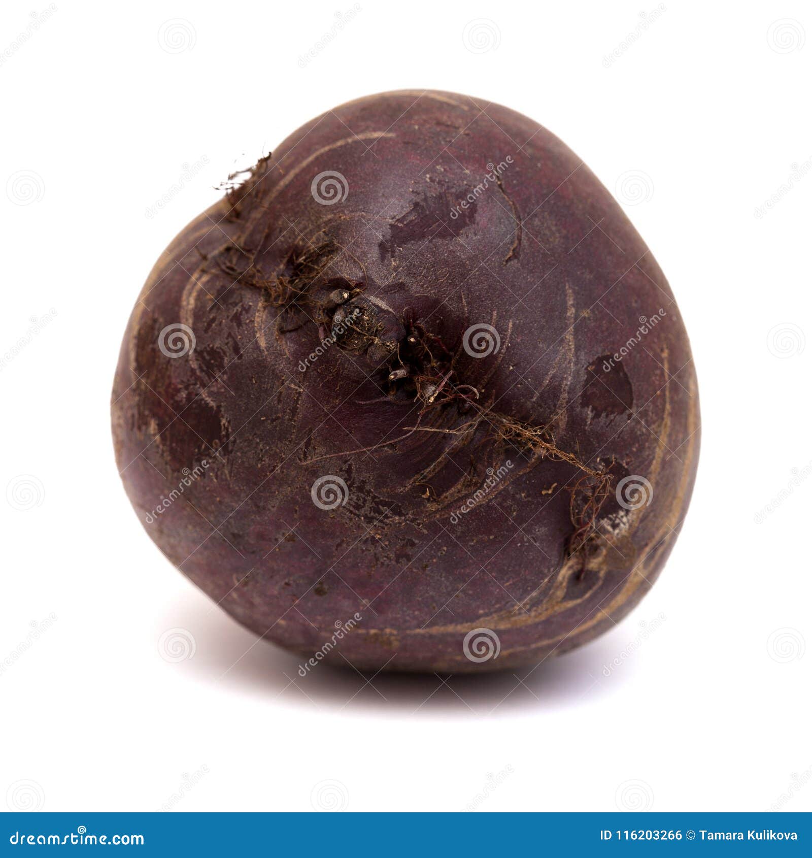 Beetroot isolated on white stock photo. Image of moderate - 116203266