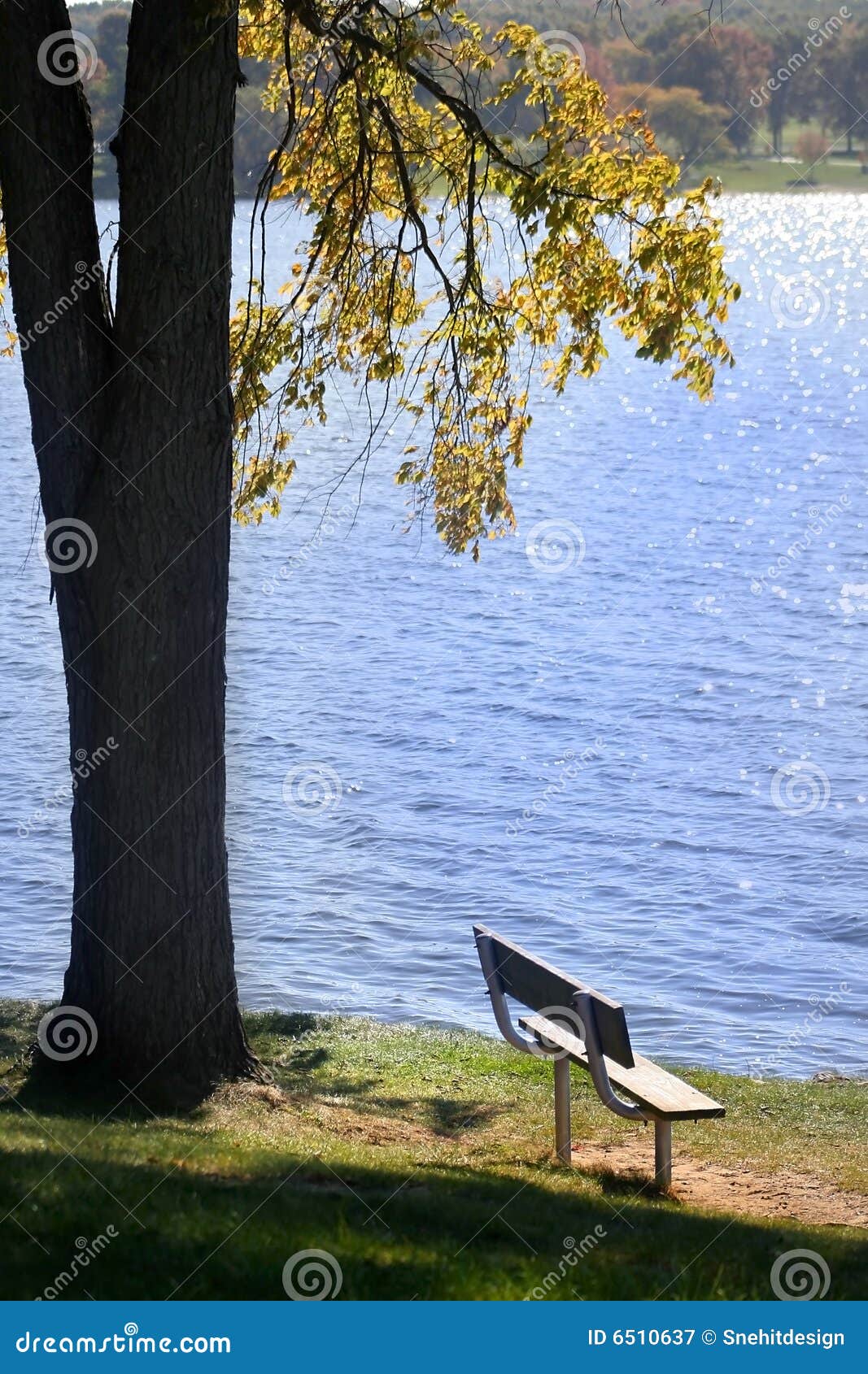 Single Bench stock image. Image of bench, nature, autumn - 6510637