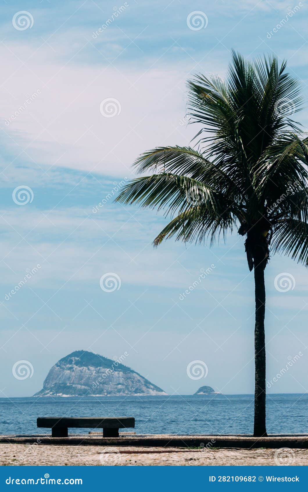 Single Bench and Palm Tree Situated Against a Picturesque Ocean ...