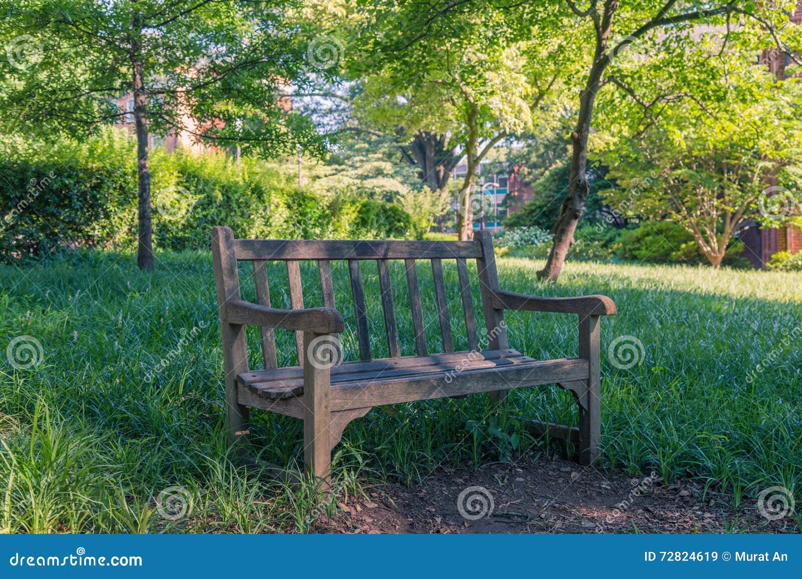 Single bench in the park. stock image. Image of single - 72824619