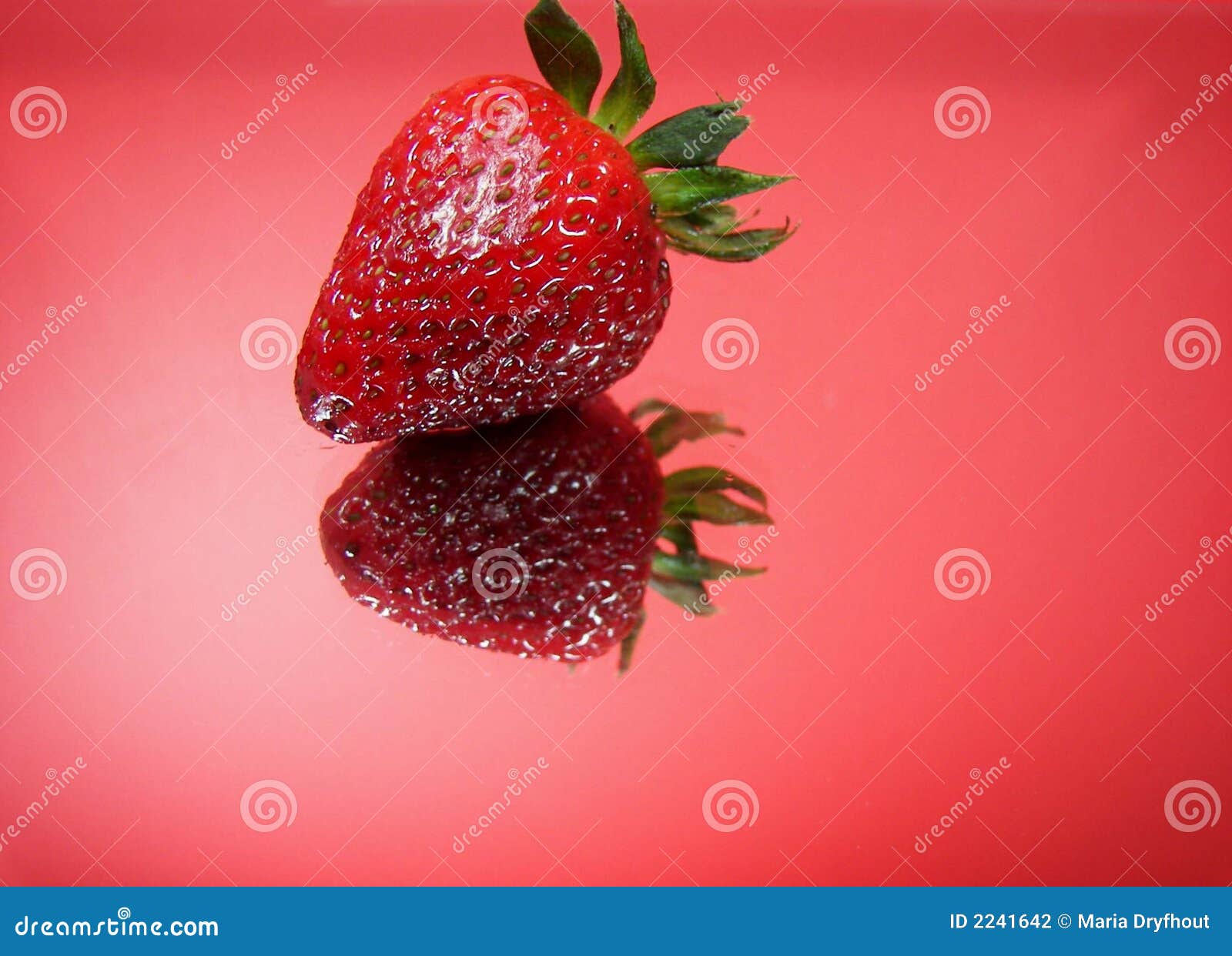 Single Berry stock photo. Image of object, shiny, nature - 2241642
