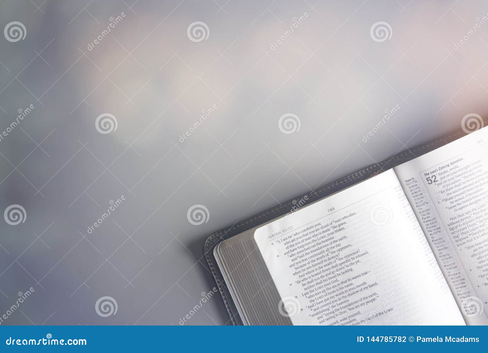 Single Bible Open on a Gray Background Stock Photo - Image of scripture ...