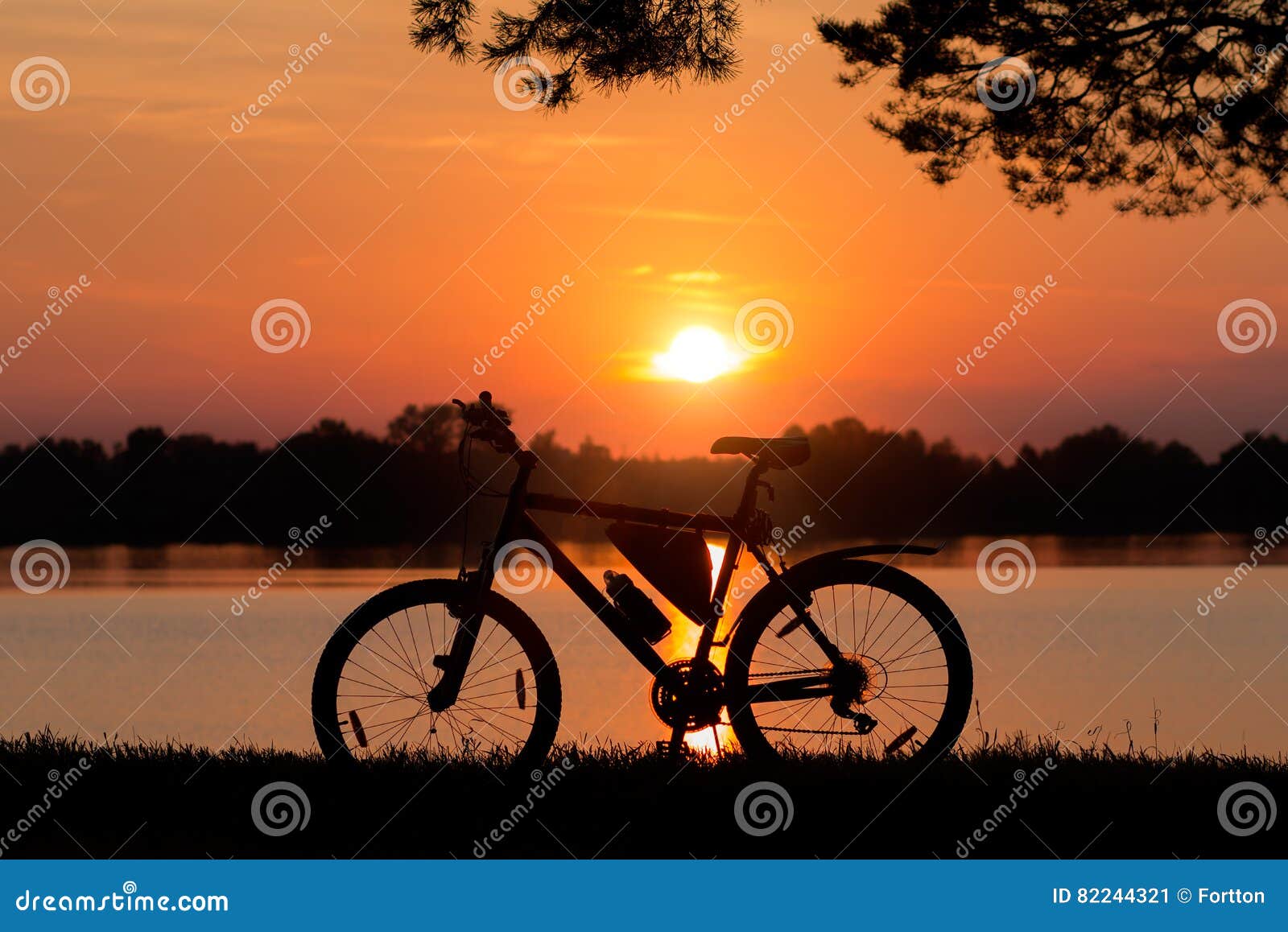 Single Bicycle Standing on a Sunset Under Trees Stock Image - Image of ...