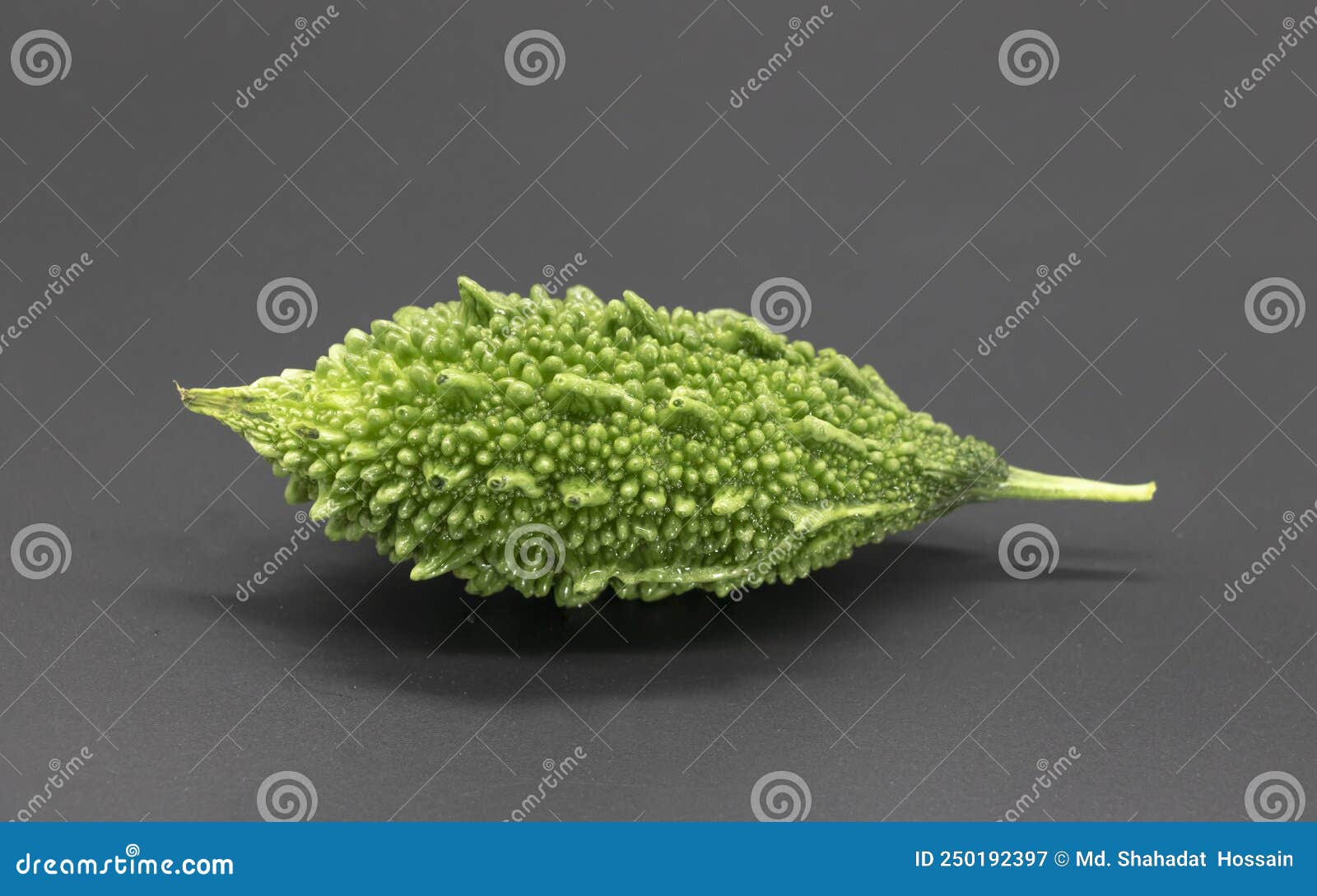 Single Bitter Gourd On Ground At Home. Bitter Gourd Image. Hanging ...