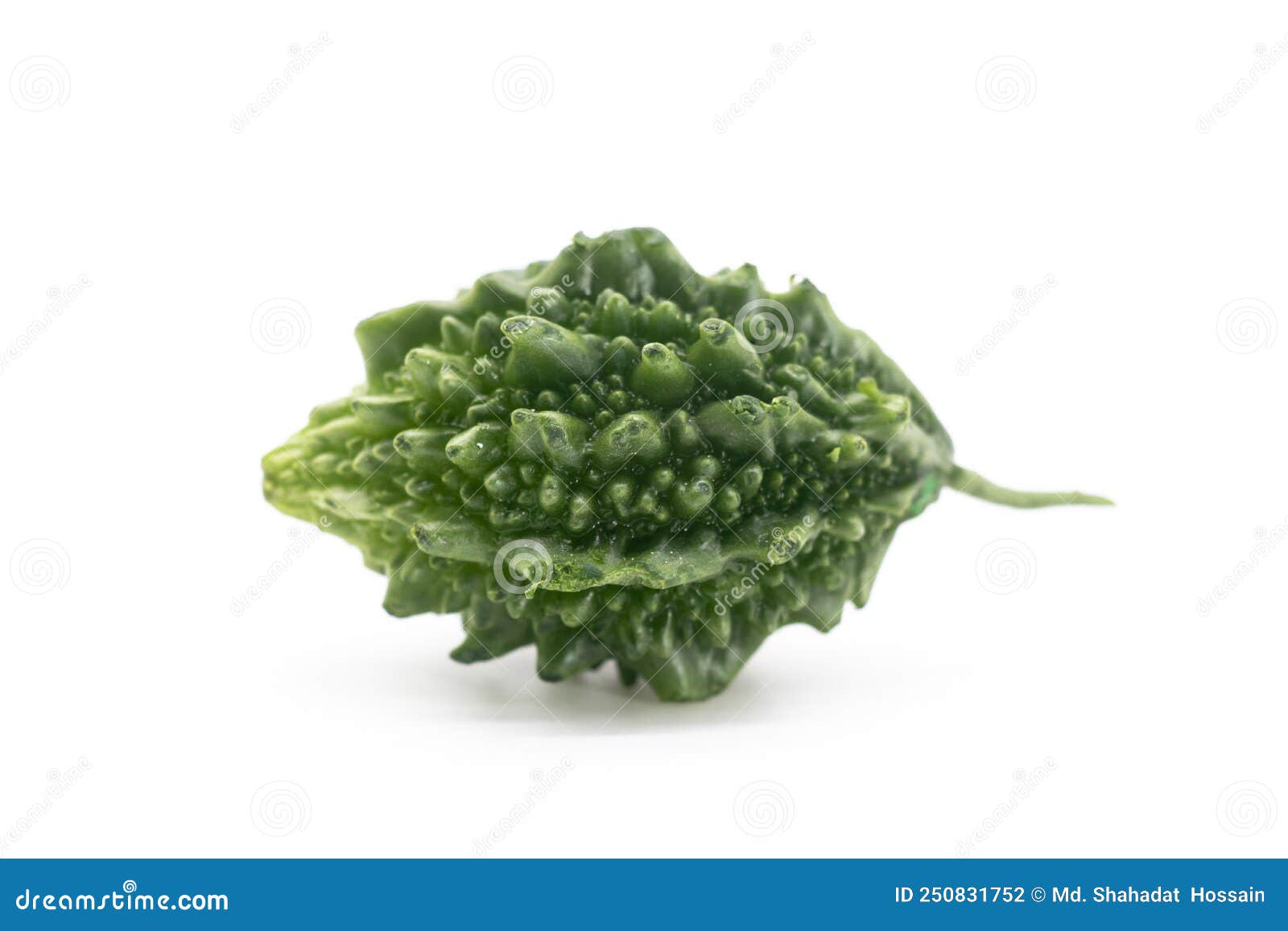 Single Bitter Gourd On Ground At Home. Bitter Gourd Image. Hanging ...