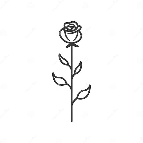 Single Black Line Drawing of a Rose Stock Illustration - Illustration ...