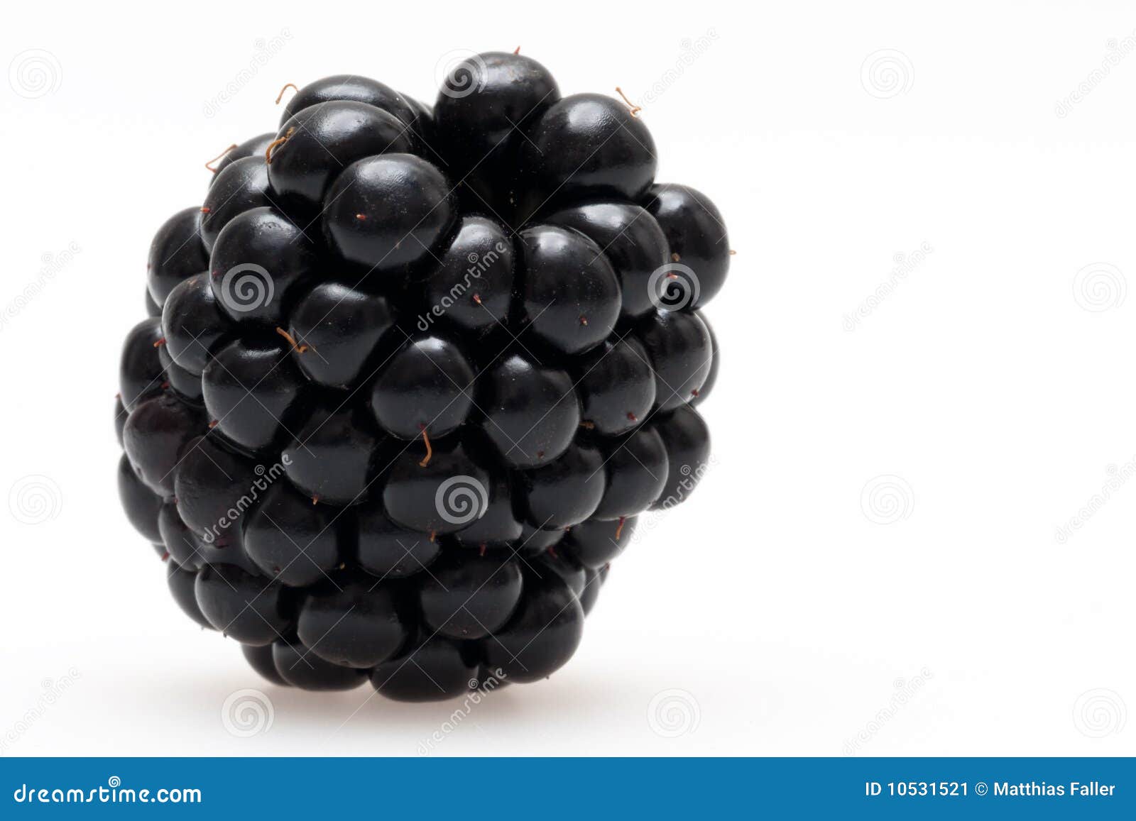 Single Blackberry Stock Photos - Download 1,996 Royalty Free Photos