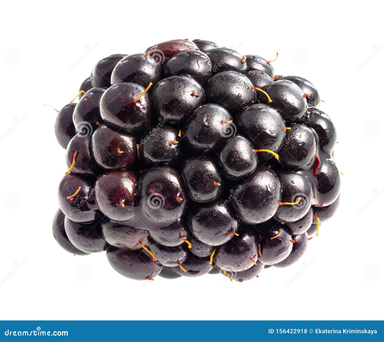 White Drupelet Stock Photos - Free & Royalty-Free Stock Photos from ...