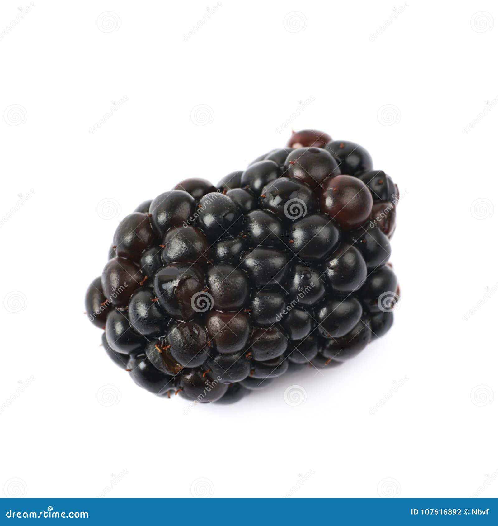 Single Blackberry Fruit Isolated Stock Photo - Image of brambleberry ...