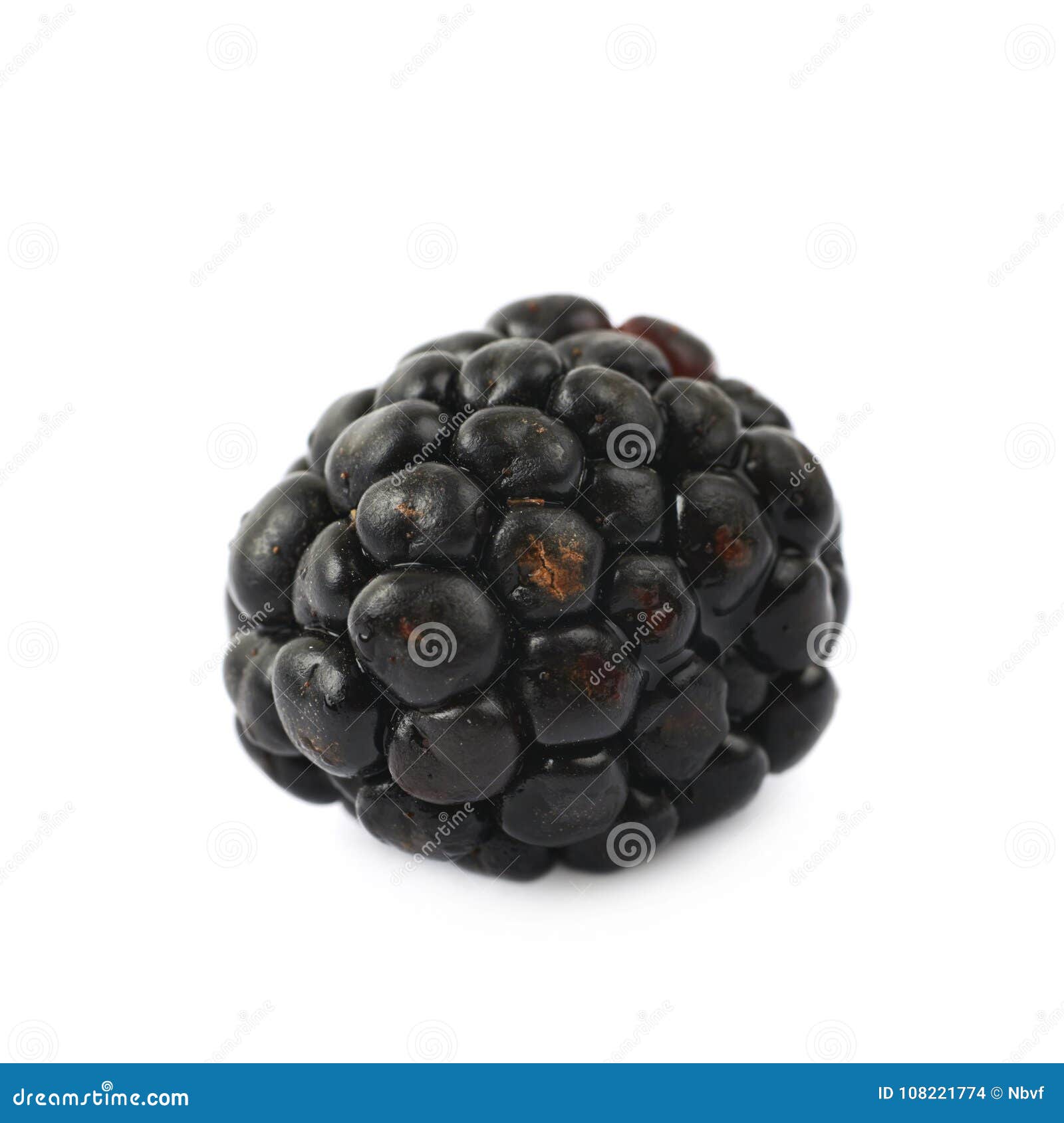 Single Blackberry Fruit Isolated Stock Photo - Image of healthy, diet ...