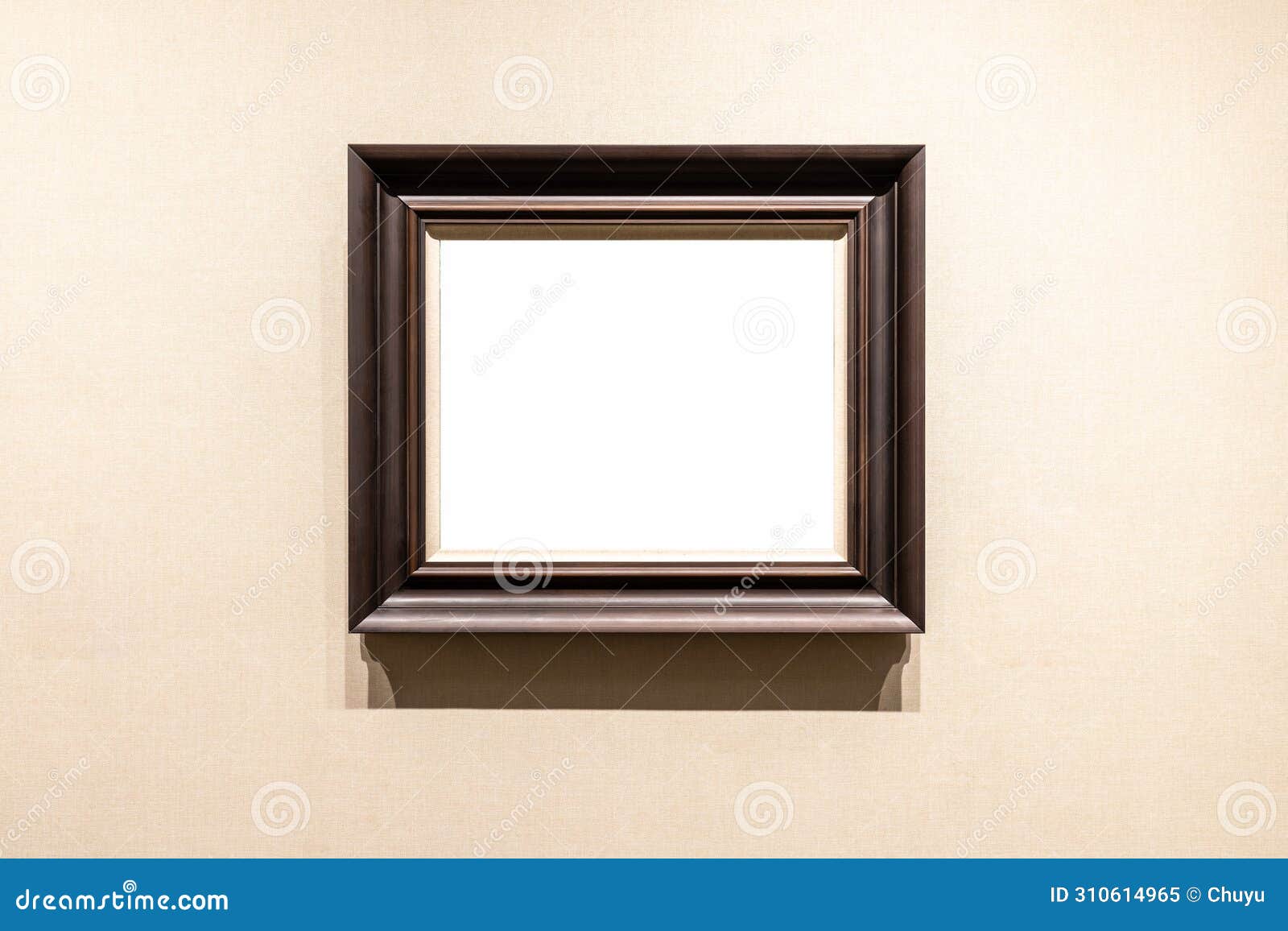 Single Blank Classic Picture Frame on Wall Stock Image - Image of ...