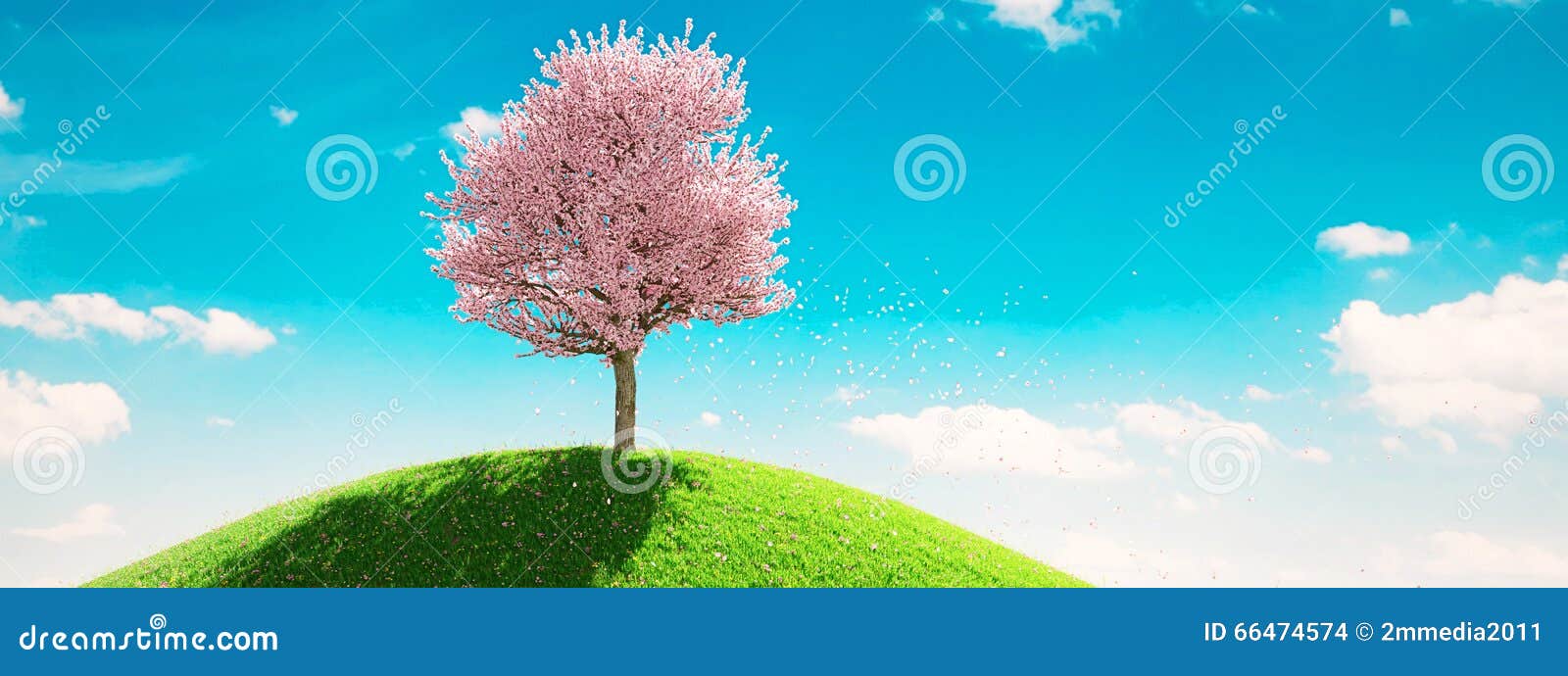 Single Blossoming Tree in Spring. 3d Rendering Stock Photo - Image of ...