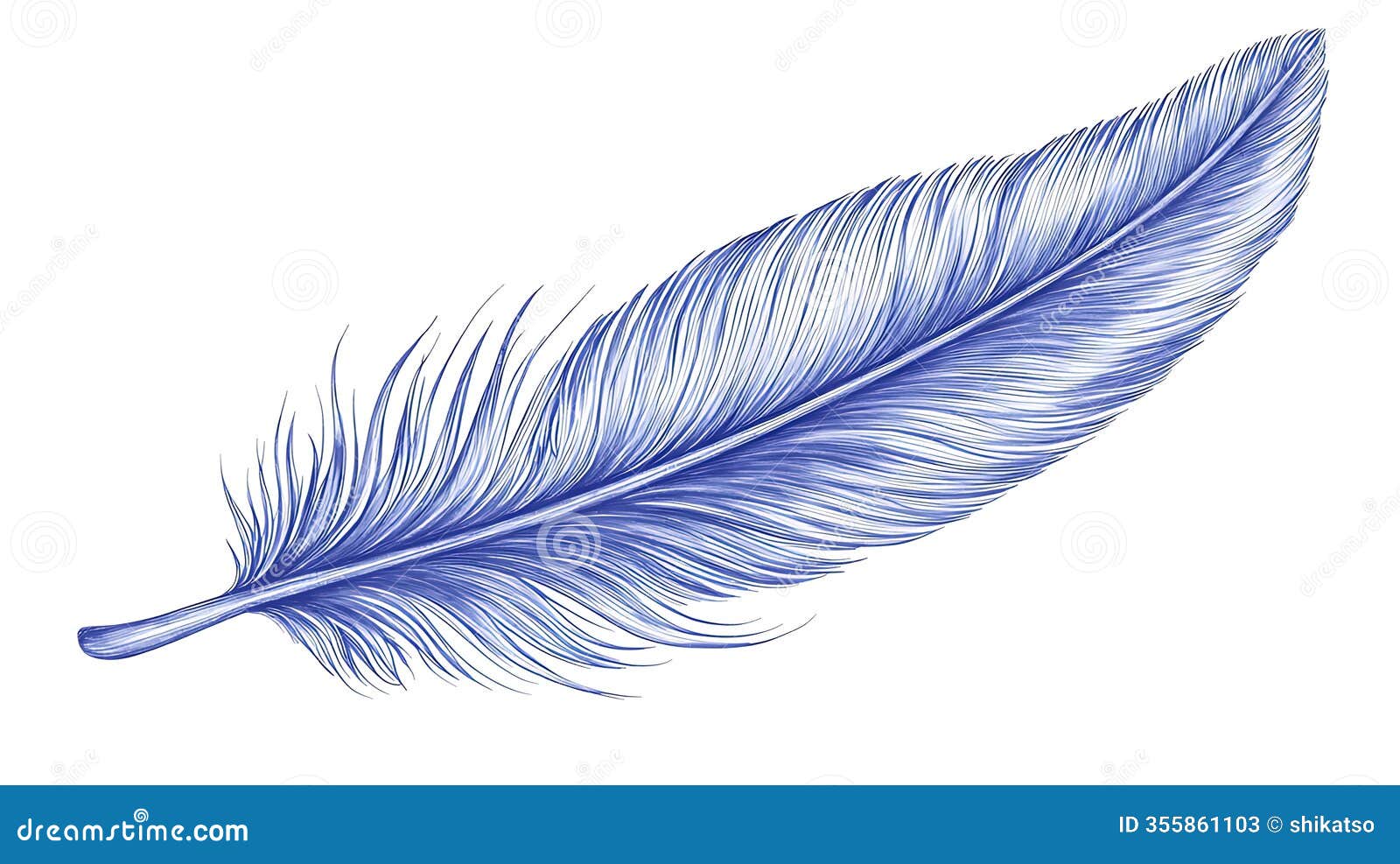 Single Blue Feather with White Outline on a White Background Stock ...
