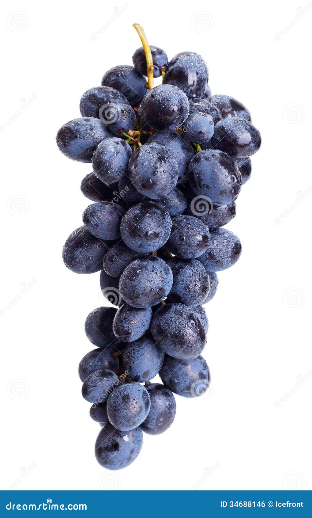Single Grape