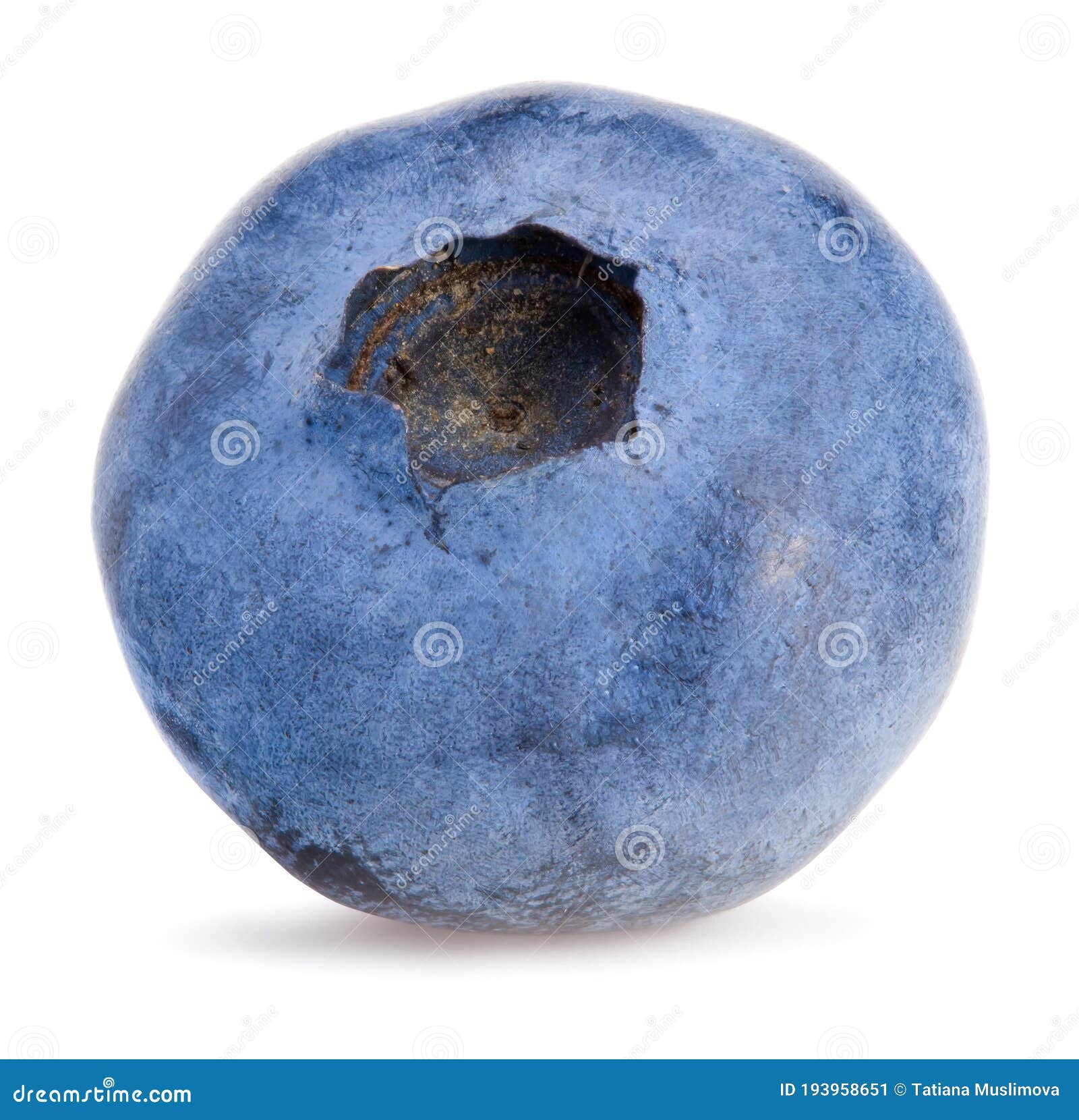 Single Blueberries Isolated on White Background. Macro Stock Image ...