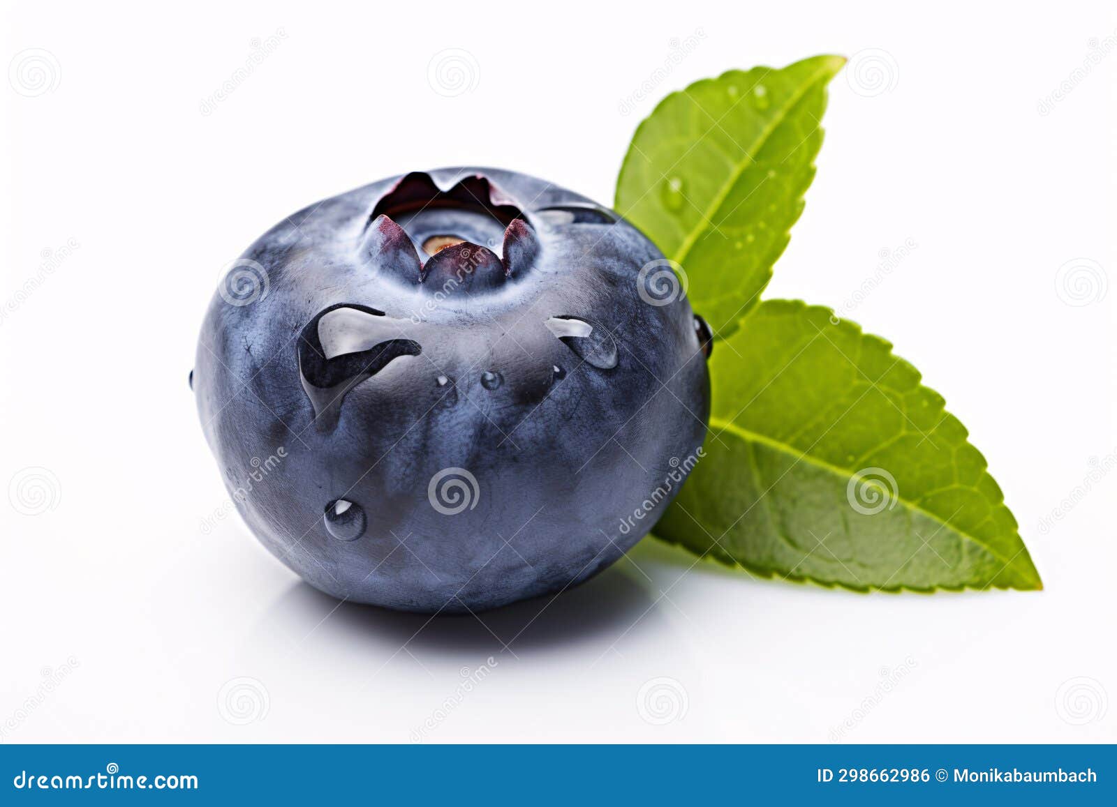 Single Blueberry Fruit on White Background Stock Illustration ...
