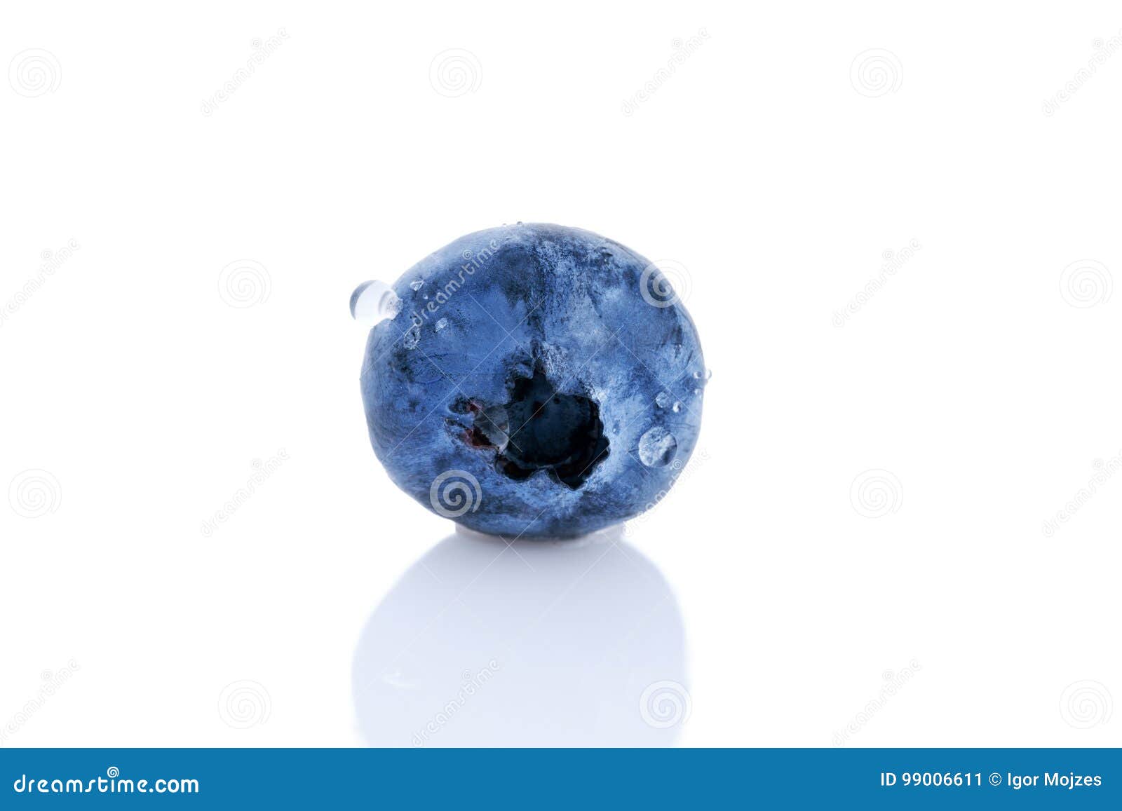 Single Blueberry Isolated on White Stock Image - Image of fresh ...