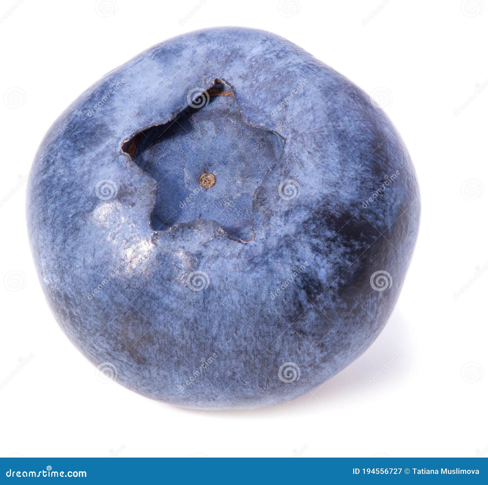 Single Blueberry Isolated on White Background. Full Depth of Field ...