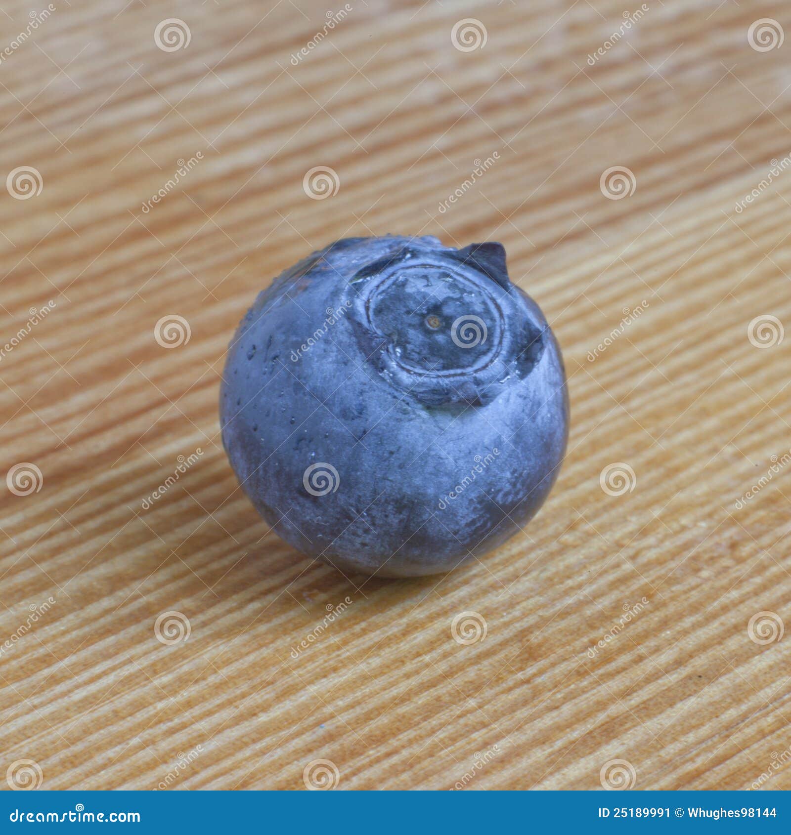 Single Blueberry on a Table Stock Image - Image of isolated, life: 25189991