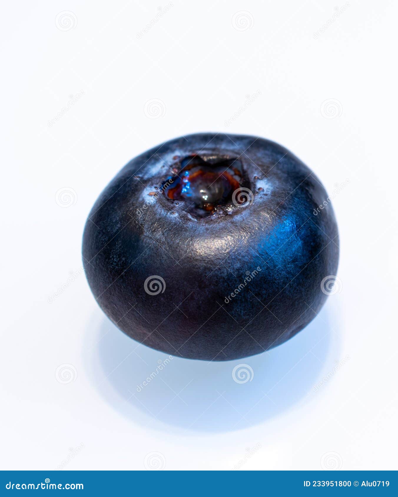Single Blueberry on White Background Stock Photo - Image of lying ...
