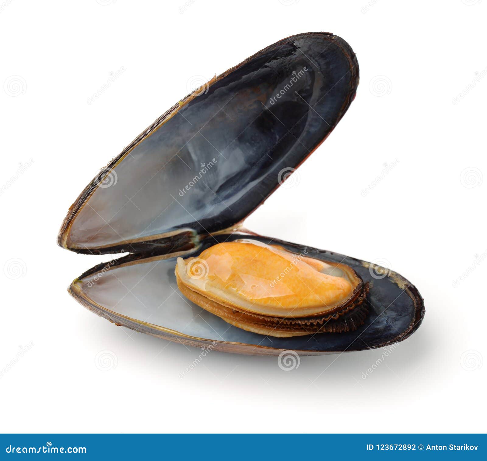 Single Boiled Beef Tongue Isolated On White Royalty-Free Stock Image ...