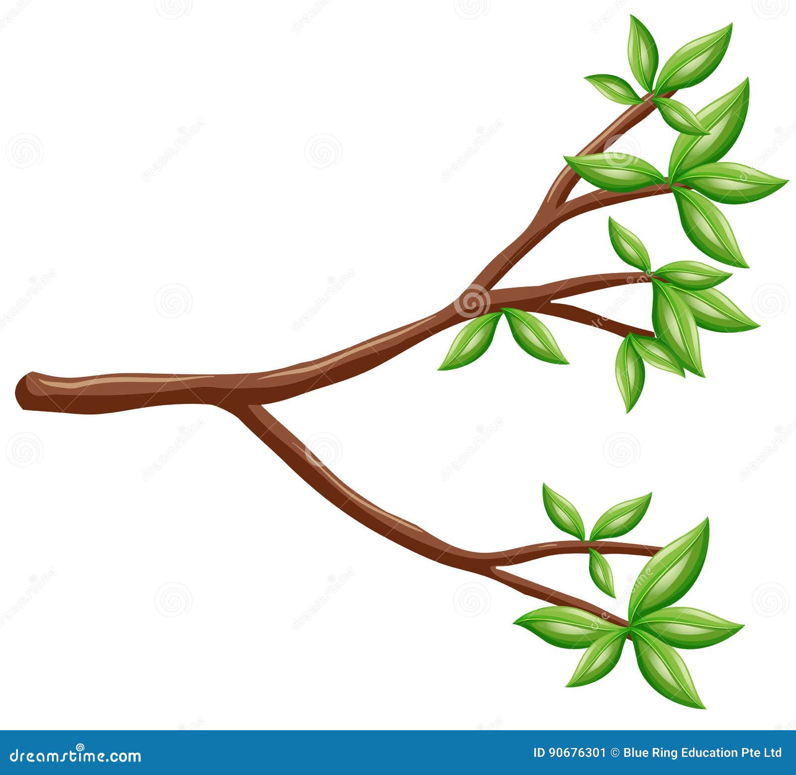 Single Branch with Green Leaves Stock Vector - Illustration of branch ...