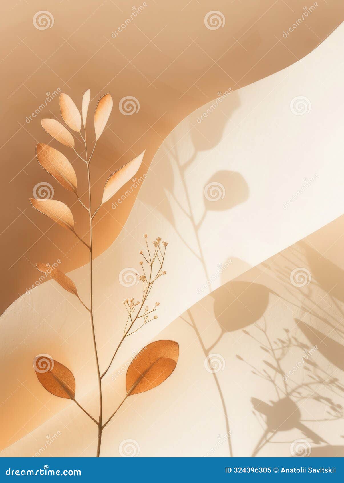 A Single Branch with Minimalist, Geometric Floral Patterns Casts Soft ...