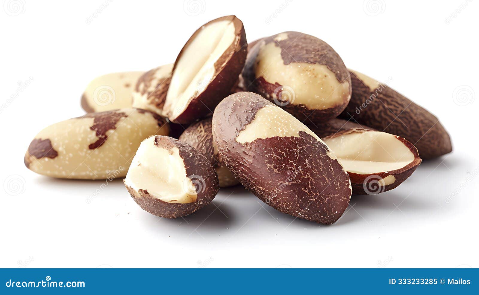 Single Brazil Nut on Pristine White Background. Stock Image - Image of ...