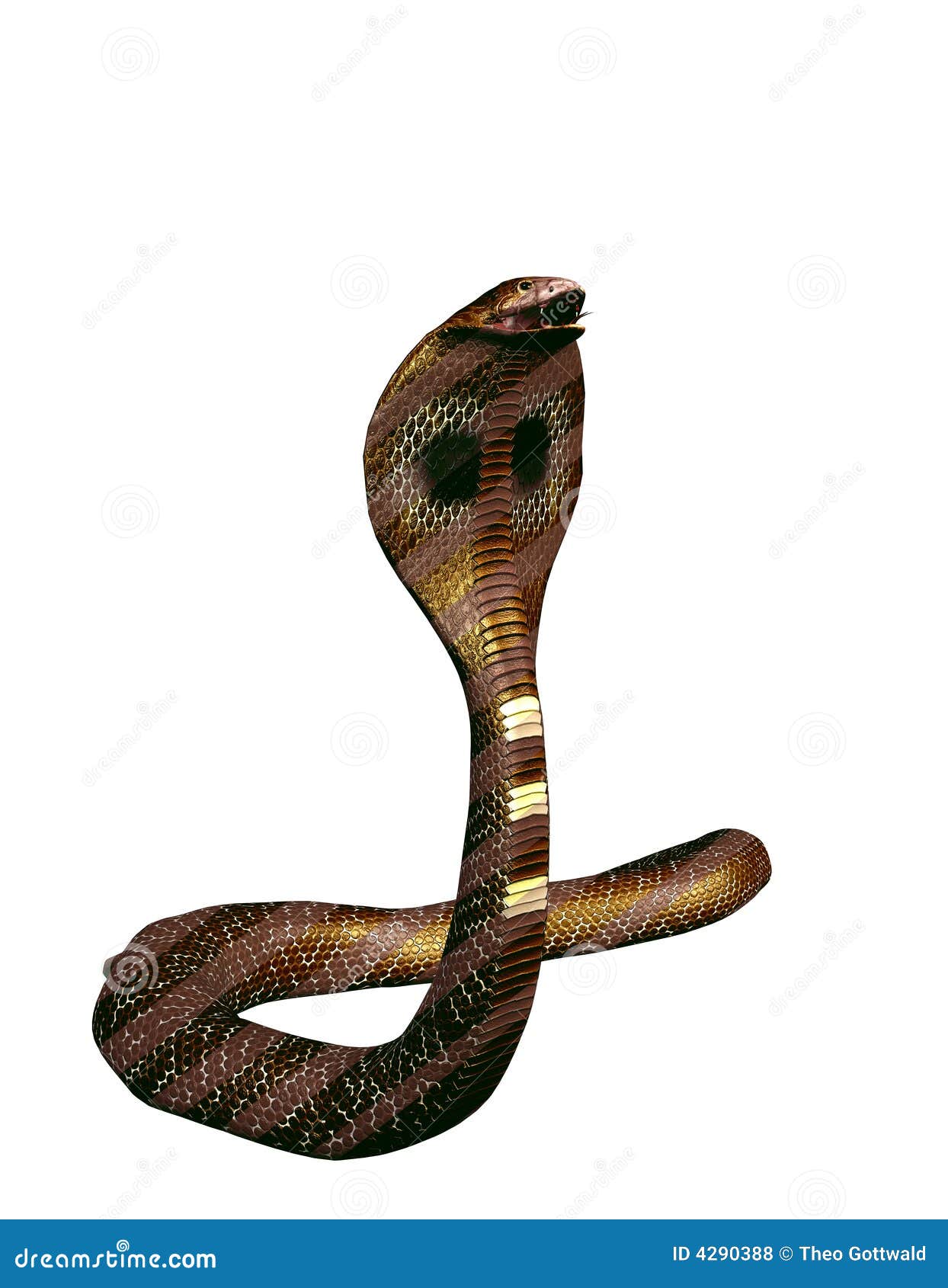 Single brown cobra snake stock illustration. Illustration of reptile ...