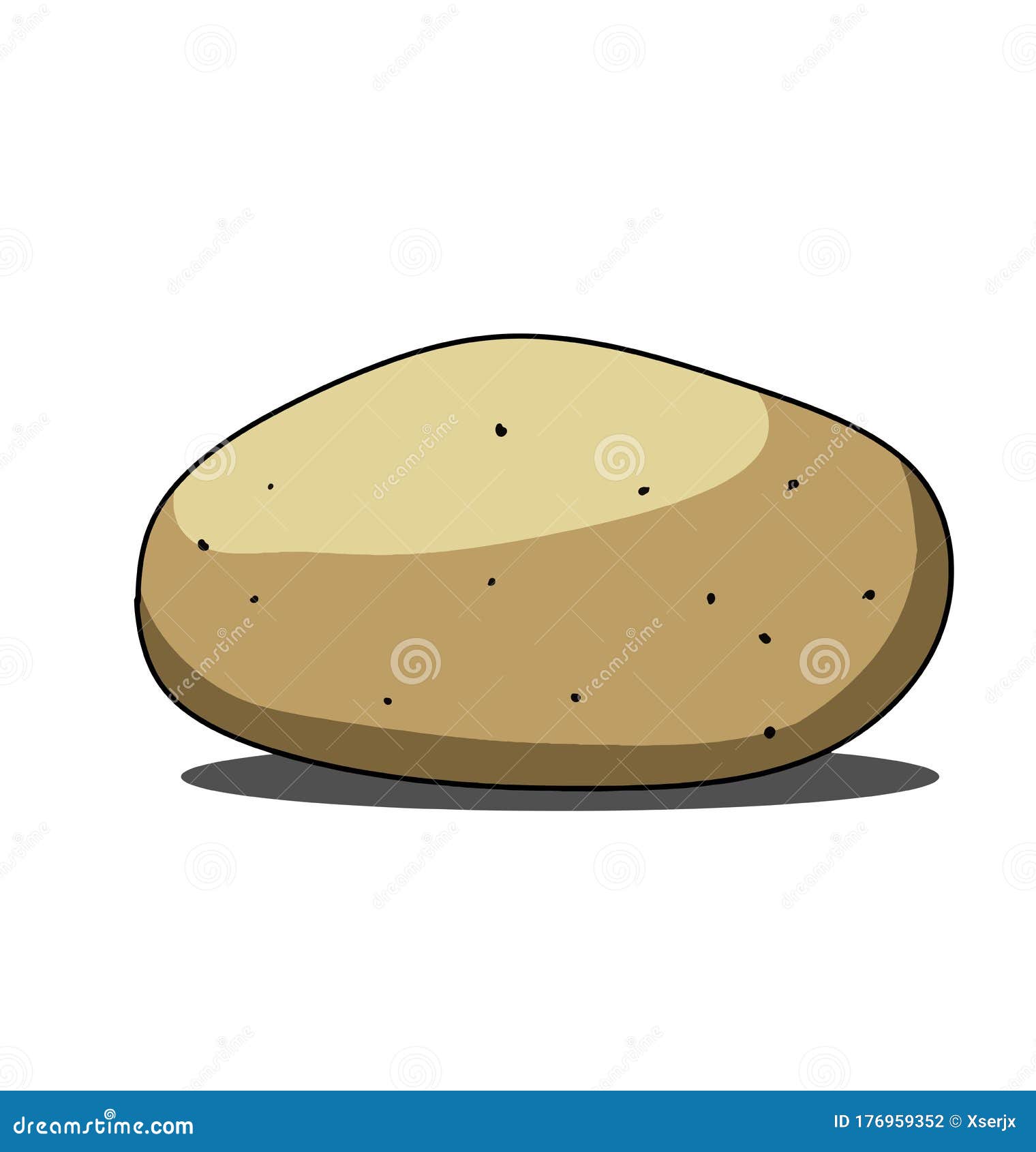 Single Brown Potato Isolated on White Background Stock Vector ...