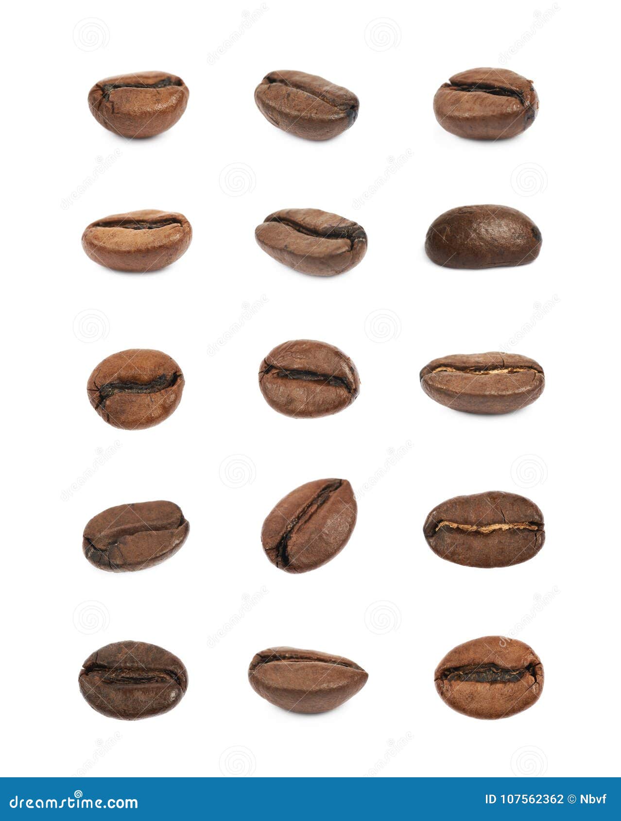 Single Coffee Bean Isolated Stock Photo - Image of black, macro: 107562362