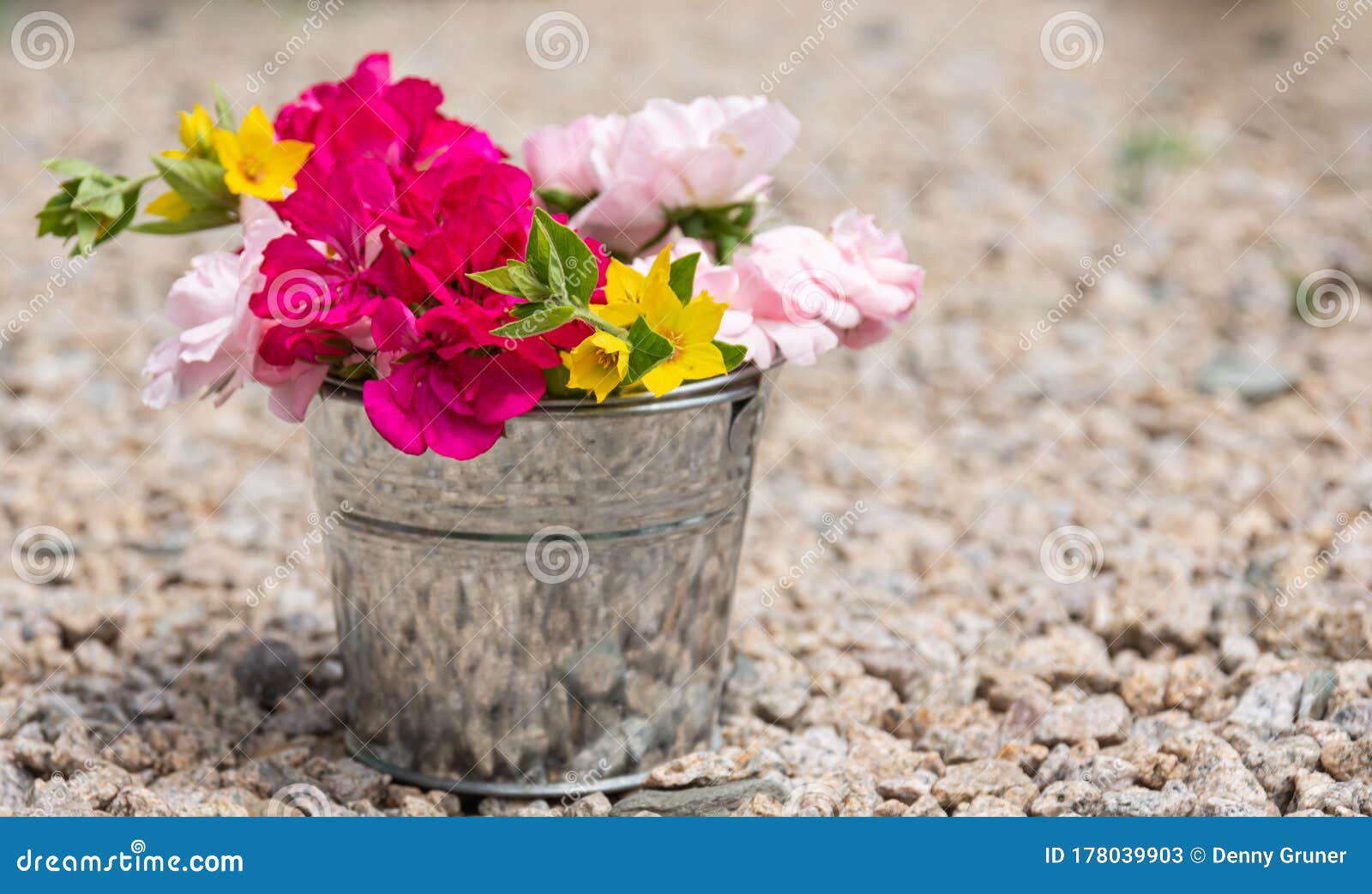 A Single Bucket Full of Flowers in Nature Stock Image - Image of pink ...
