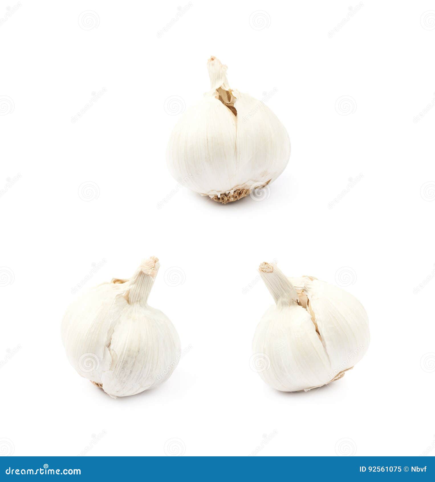 Single Bulb of Garlic Isolated Stock Image - Image of natural, relish ...