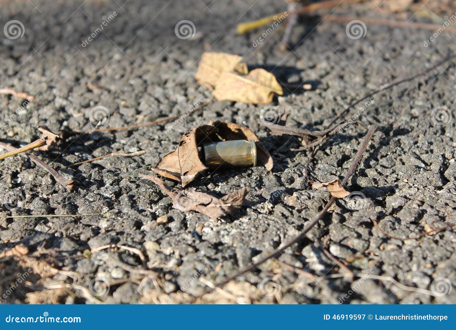 Single Bullet Casing stock image. Image of violent, black - 46919597