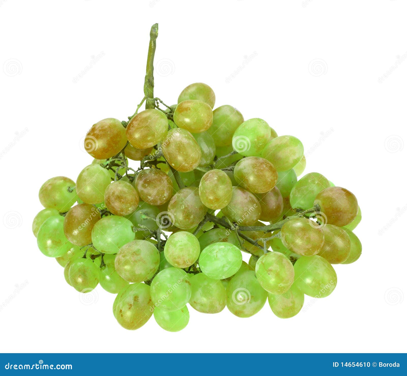 Single Fruits Pictures Grapes