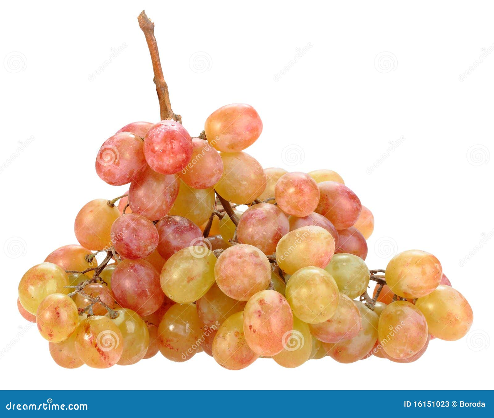 Single Bunch of Orange-yellow Grape Stock Image - Image of single ...