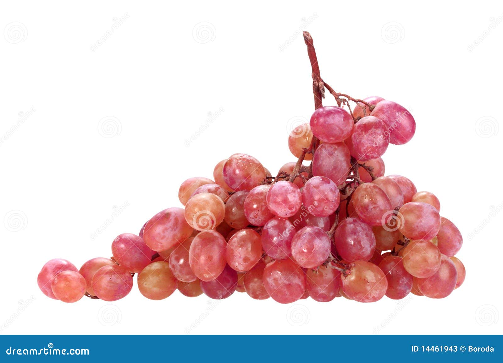 Single bunch of pink grape stock image. Image of close - 14461943