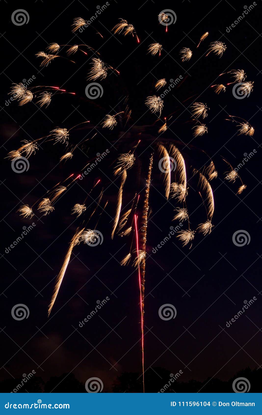 Single burst of a firework stock photo. Image of event - 111596104