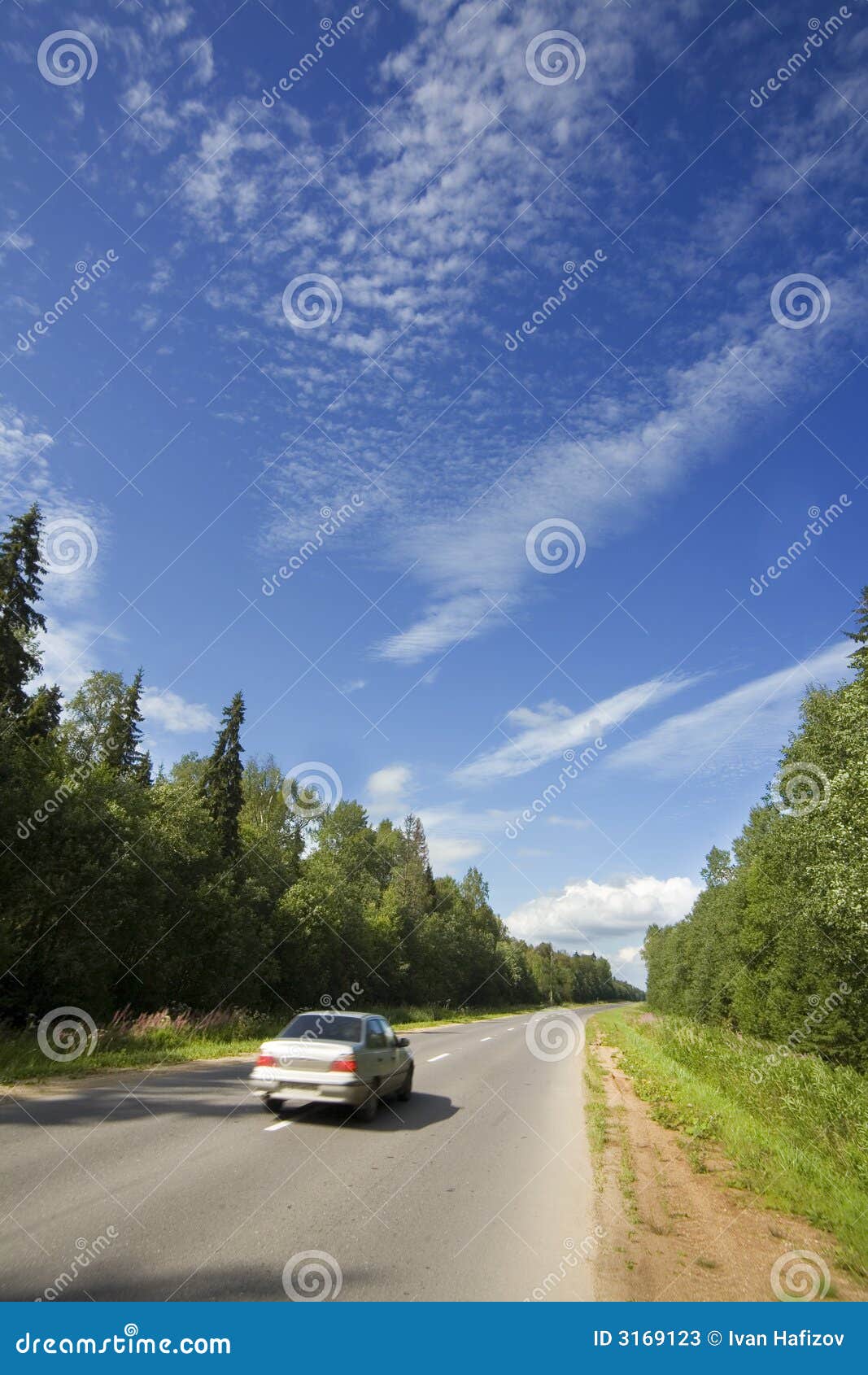 Single Car on the Forrest Road Stock Image - Image of forest, cloud ...