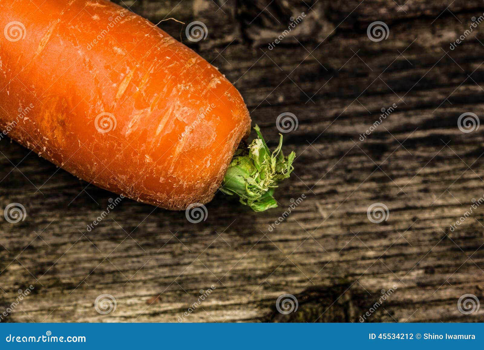 Single carrot close up stock photo. Image of vegetable - 45534212