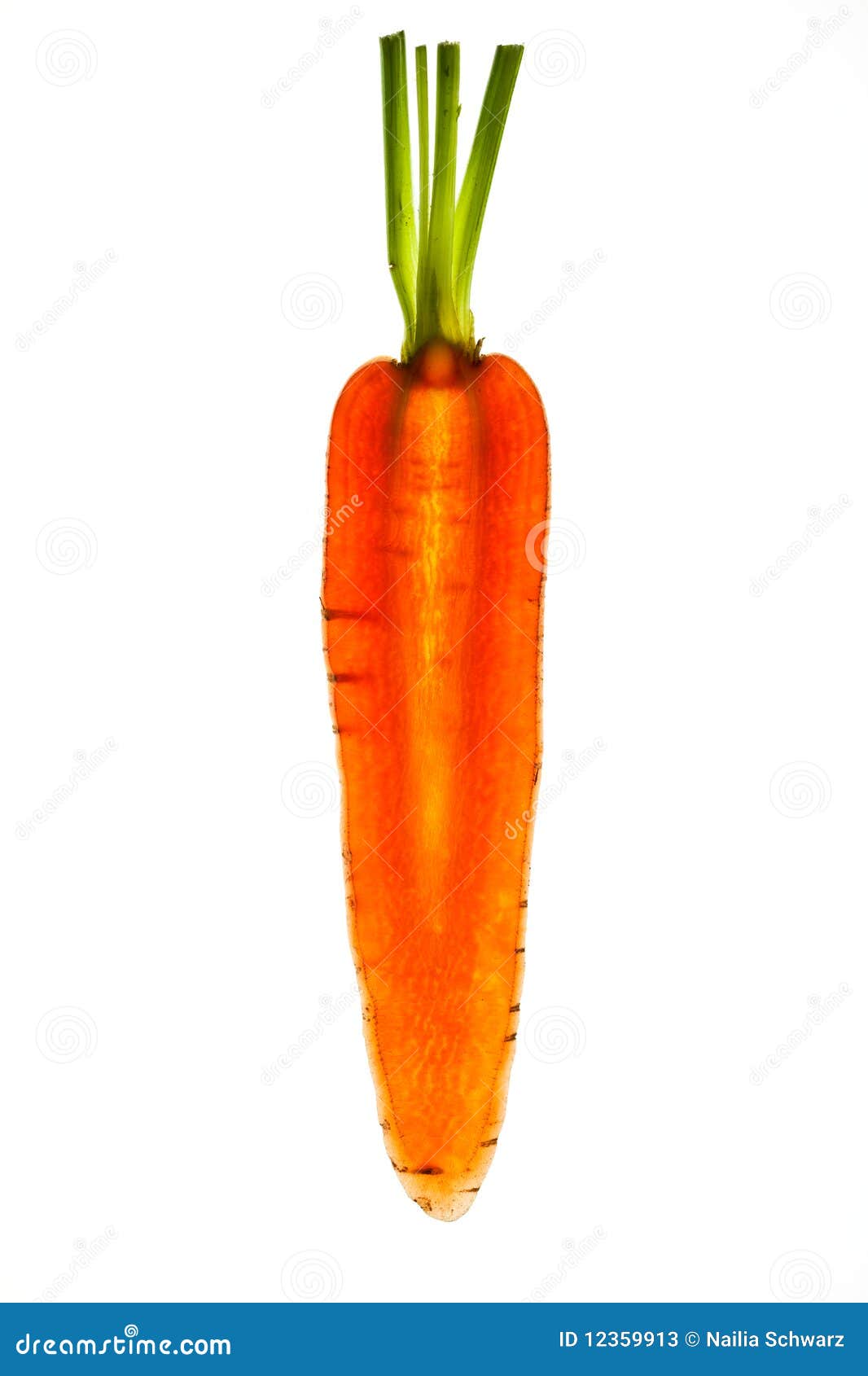 Single Carrot Vegetable