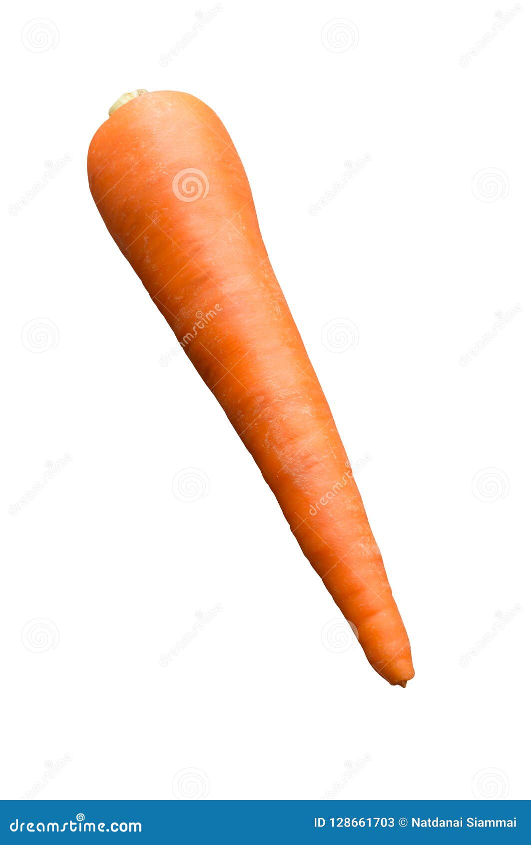 Single Carrot Isolated on White Background with Clipping Path Stock ...